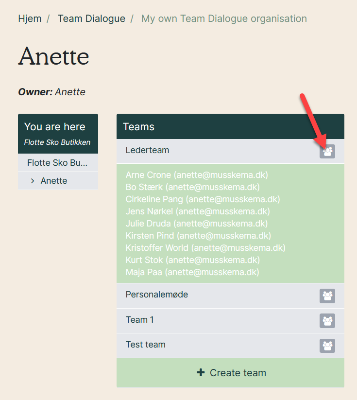 Setting up TEAM Dialog